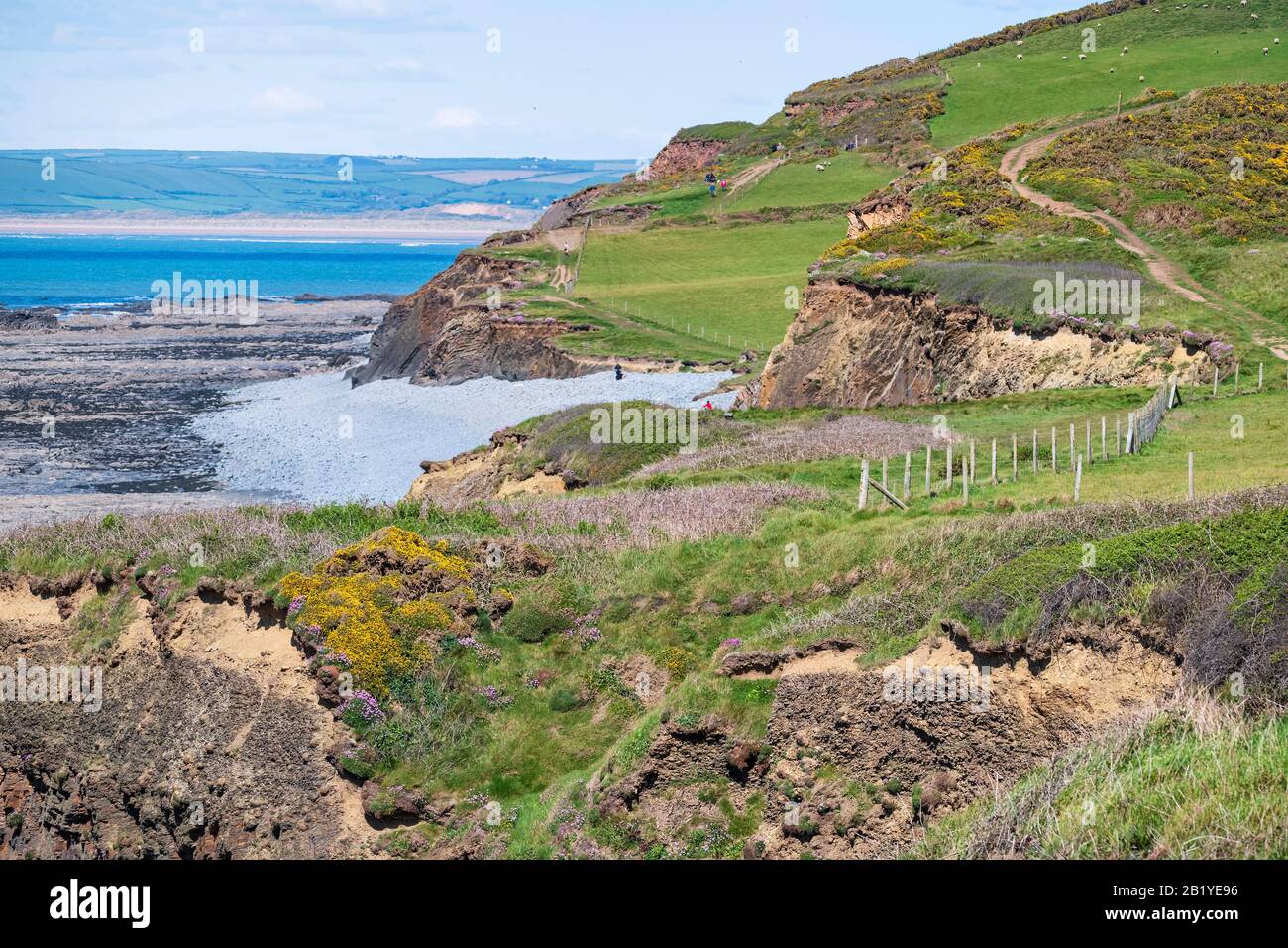 South West coastal path with walks towards Abbotsham Cliffs, on the ...