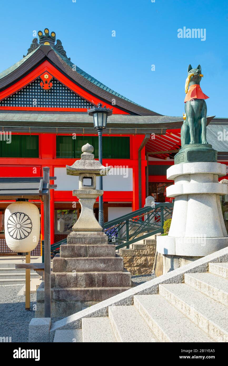 Canis lupus images hi-res stock photography and images - Alamy