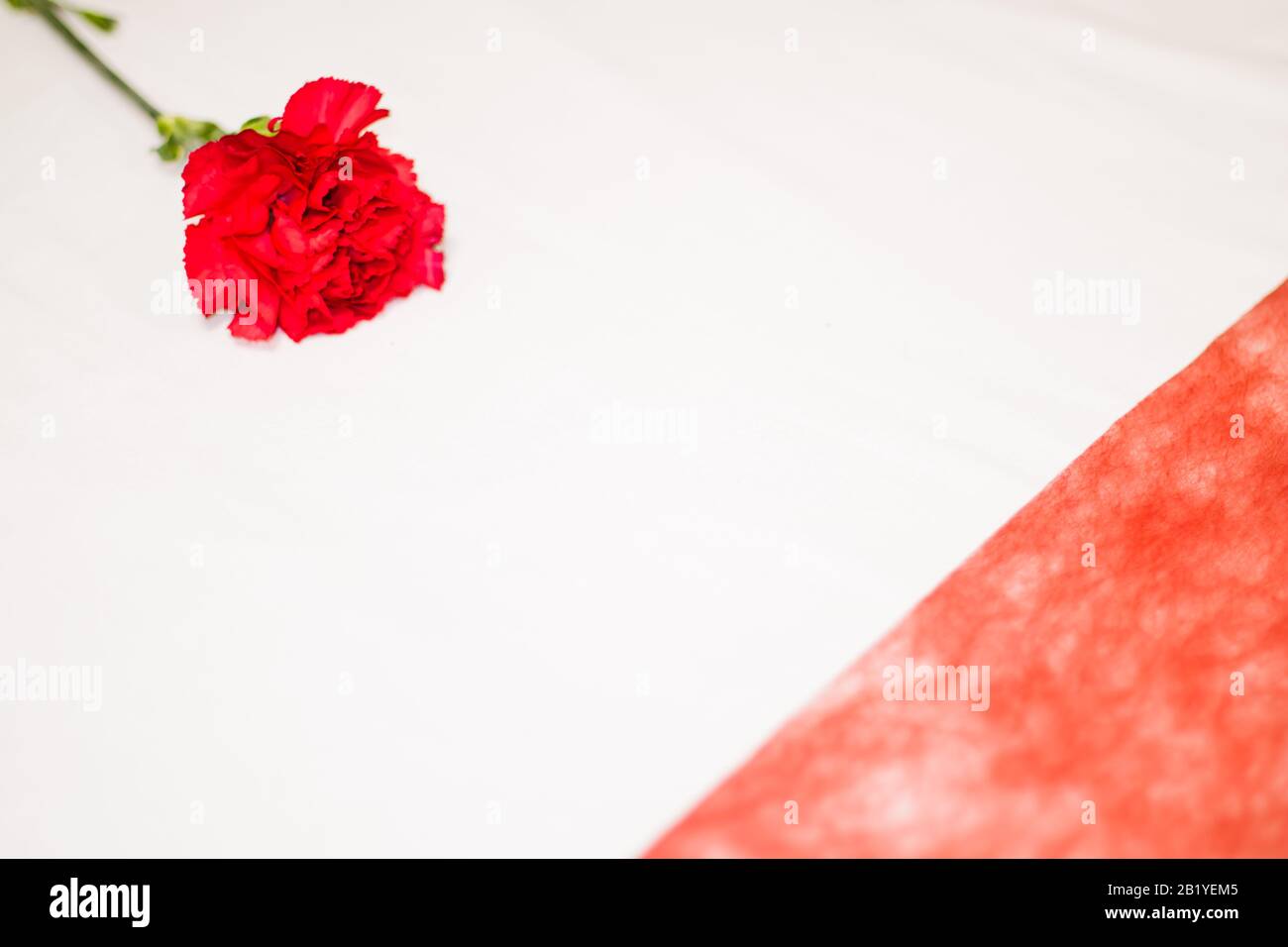 Mothers day flower hi-res stock photography and images - Alamy