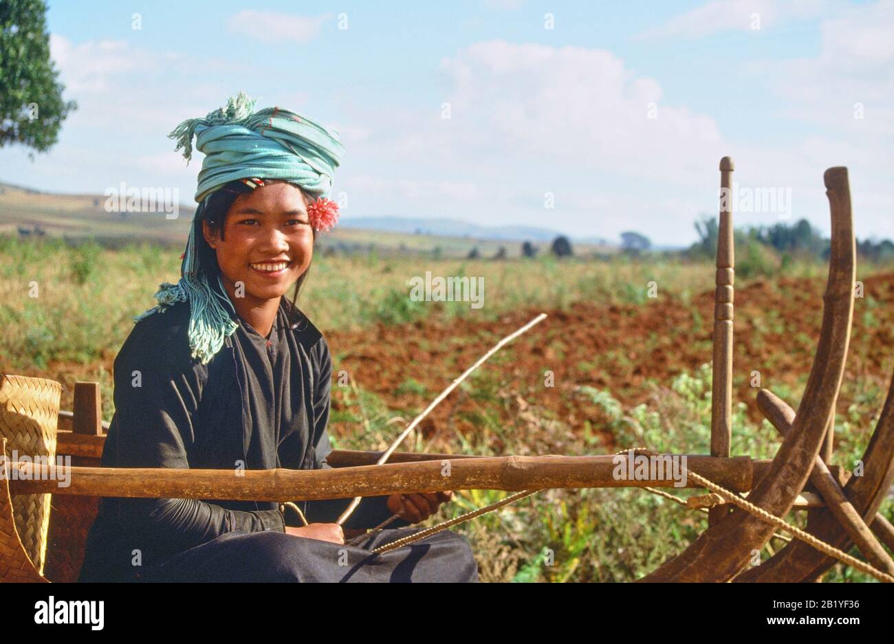 Pretty girl of Danu Tribe sitting on a buffalo cart near Pindaya, Burma ...