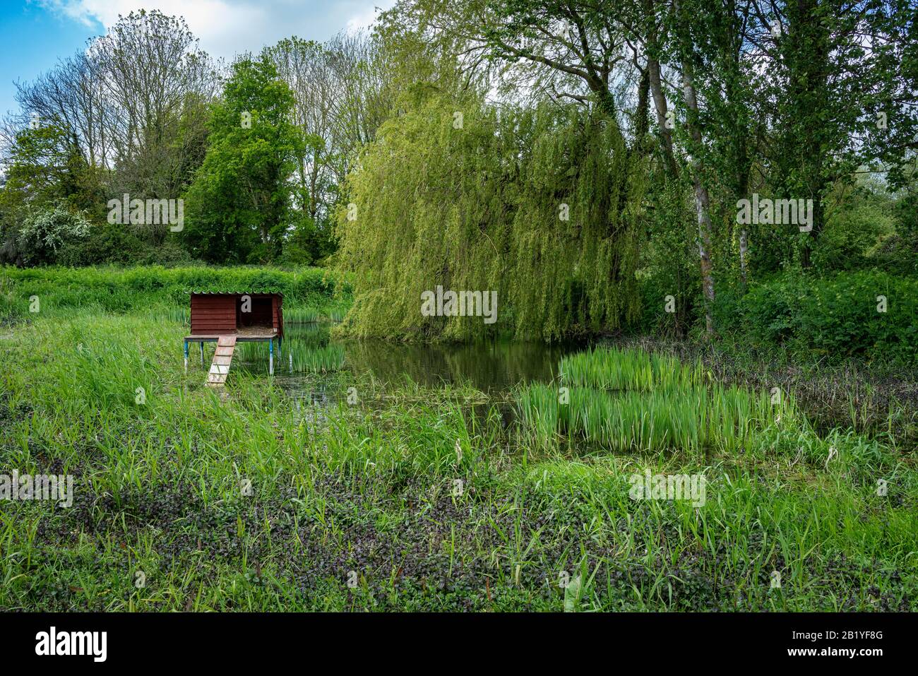 Wooden duck house hi-res stock photography and images - Alamy