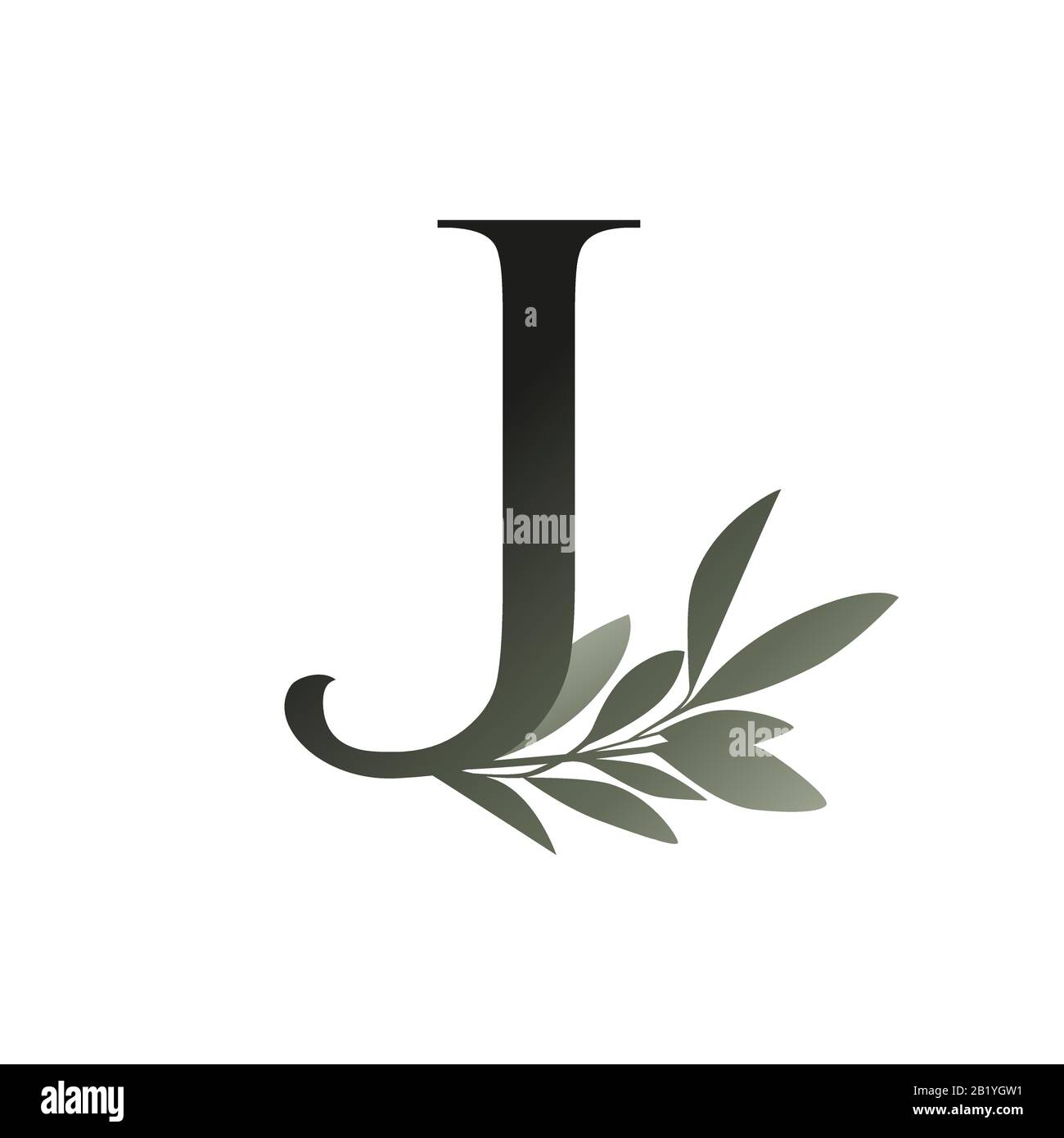 Olive branch on capital letter isolated on white background Stock ...