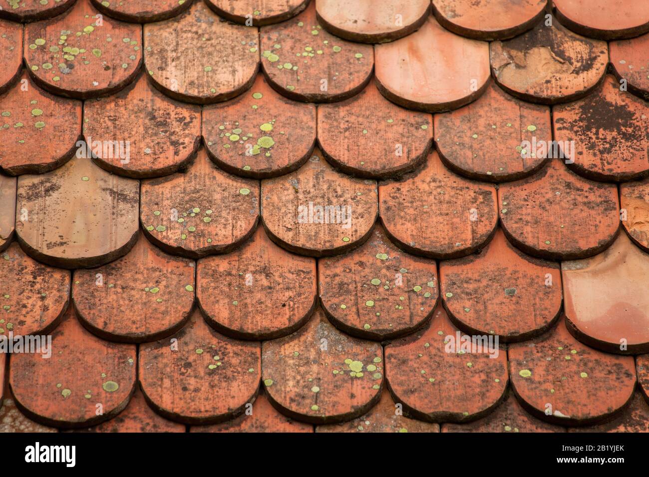 texture on terracotta roof tiles over an Italian mountain Castel in Val ...