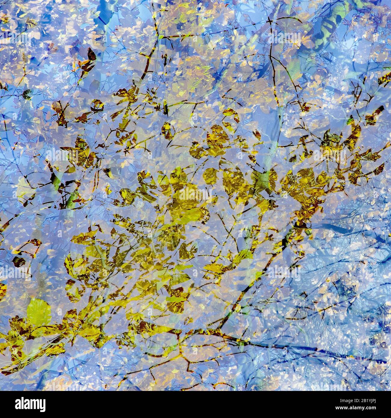 Artistic abstract and impressionistic photography in shades hues and ...