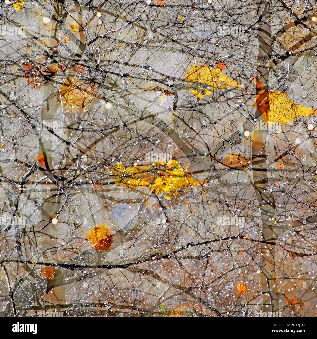 Artistic abstract and impressionistic photography in shades hues and ...