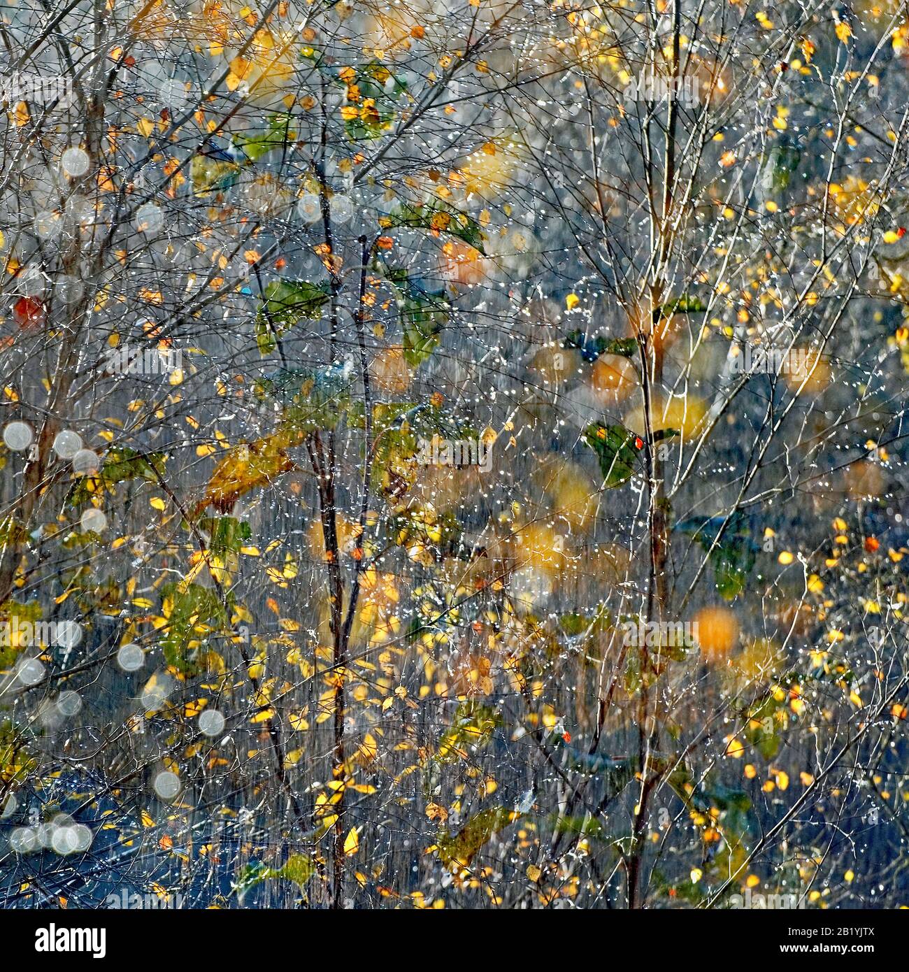 Artistic abstract and impressionistic photography in shades hues and ...