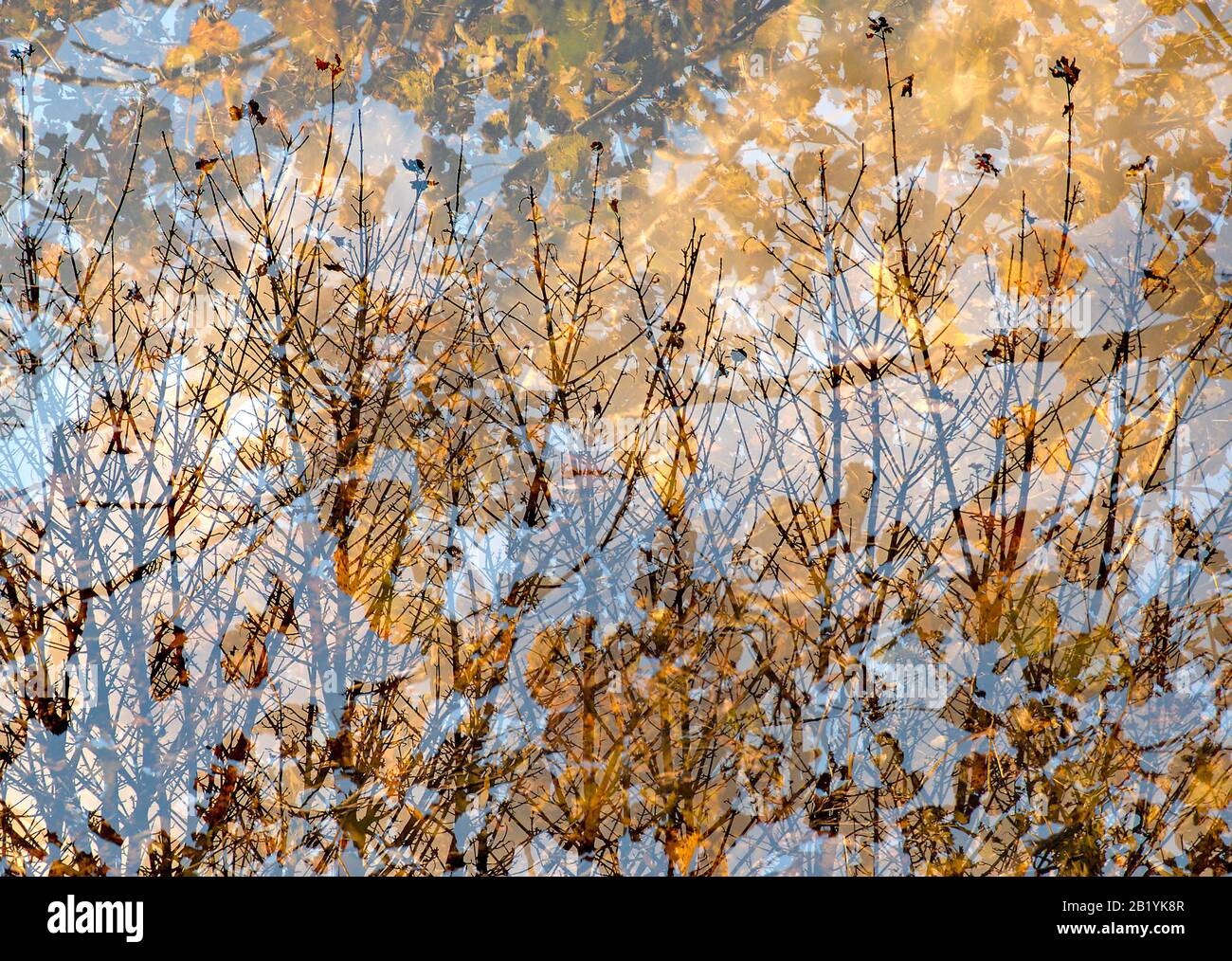 Artistic abstract and impressionistic photography in shades hues and ...