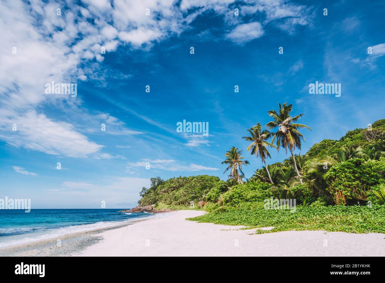 Tropical remote secluded sandy beach with coconut palm trees and blue ...