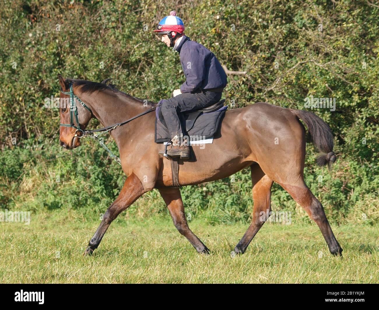 A jockey heads hi-res stock photography and images - Alamy