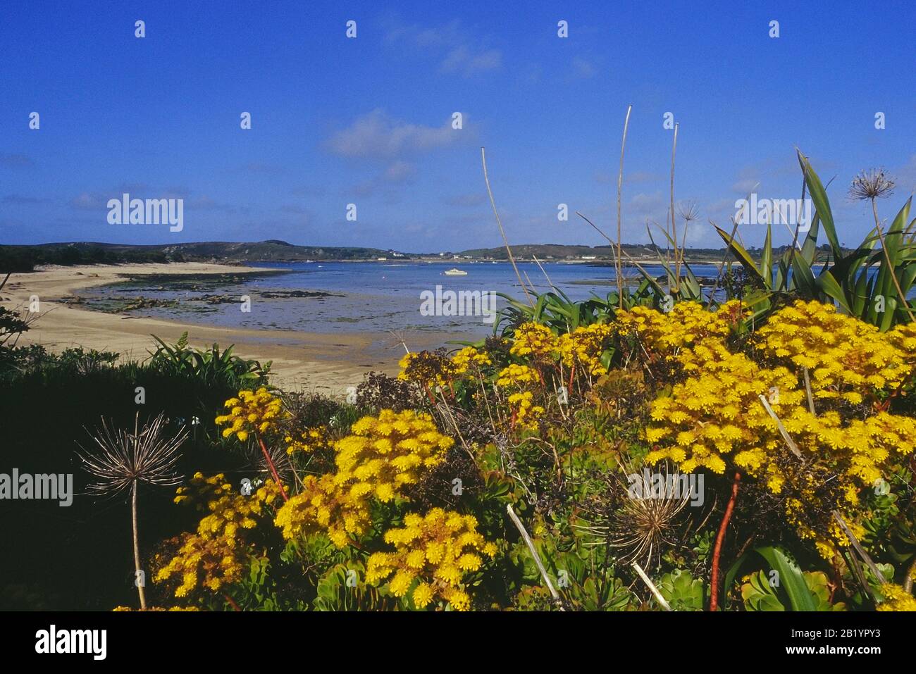Sandy beach bryher hi-res stock photography and images - Alamy