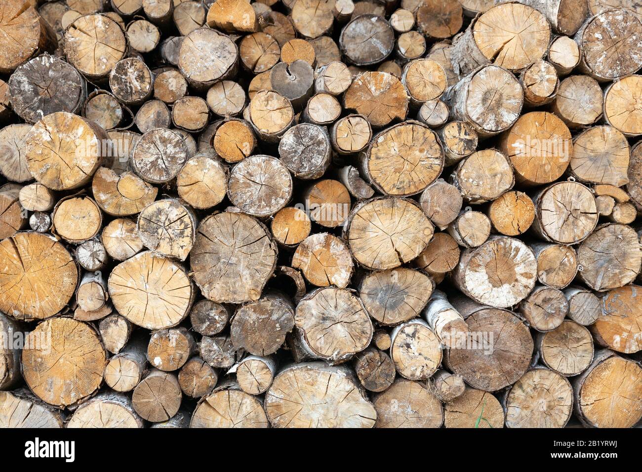 Closeup of cut firewood, natural wood background Stock Photo - Alamy