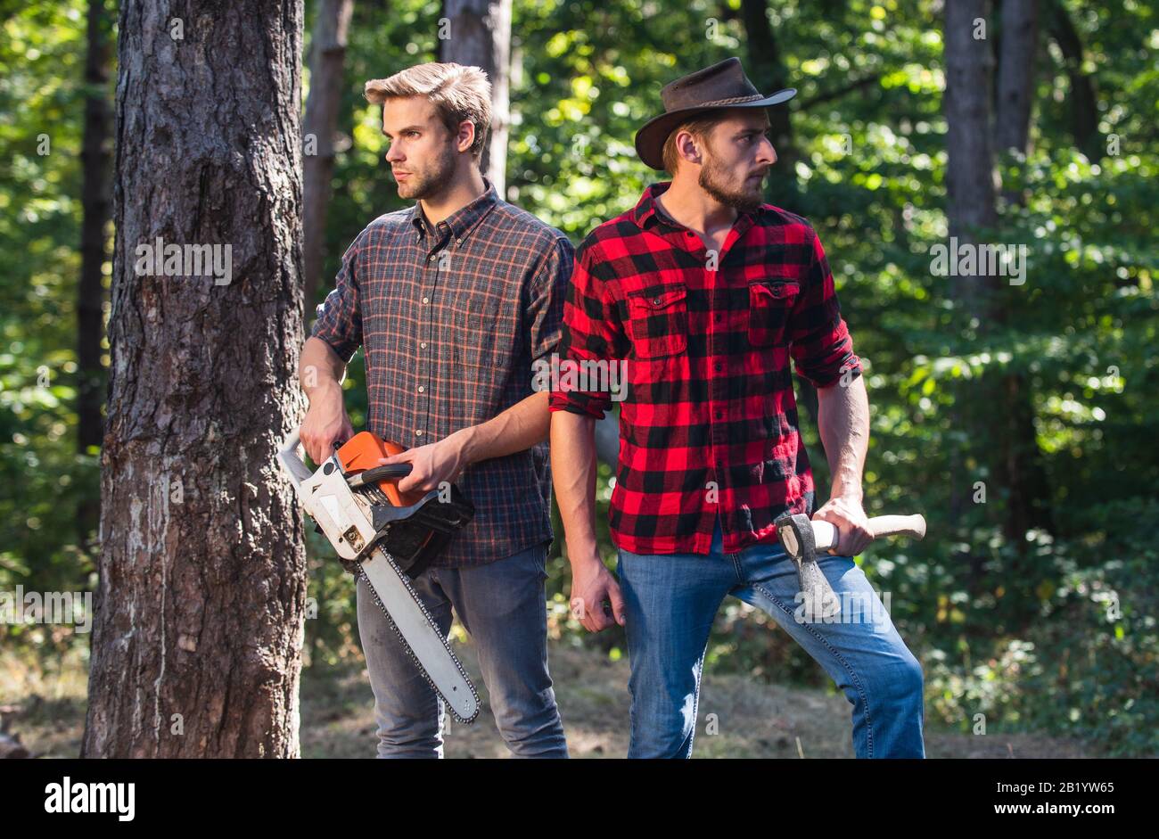 hiking in deep wood. forest care at vacation. summer or spring activity ...