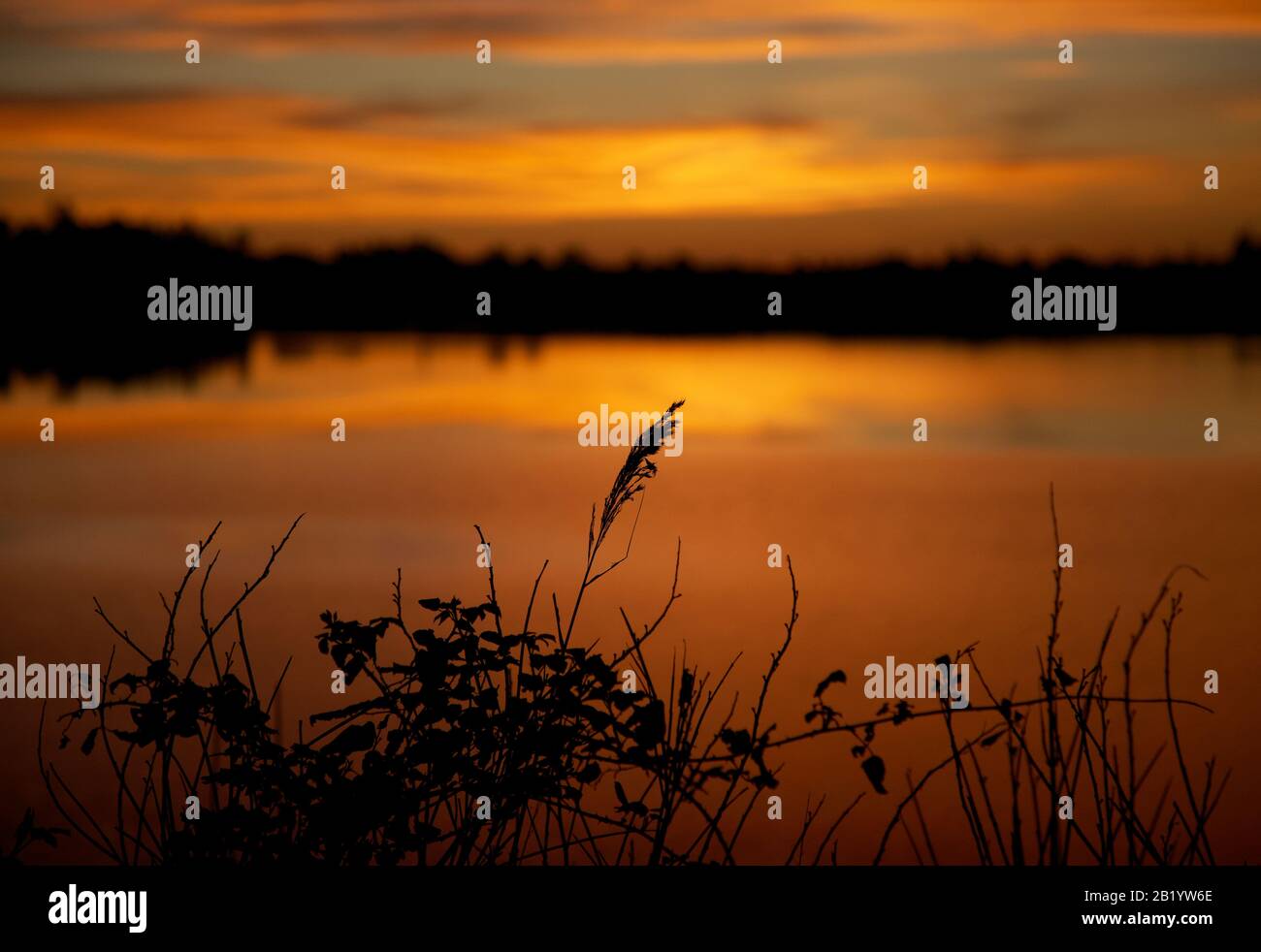 Bright sky over pond hi-res stock photography and images - Alamy