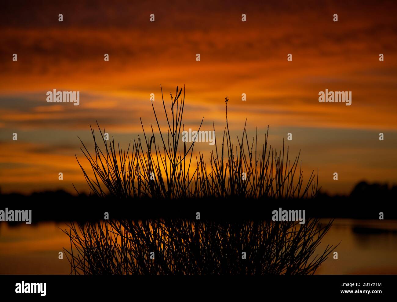 Wonderful sunshine hi-res stock photography and images - Alamy