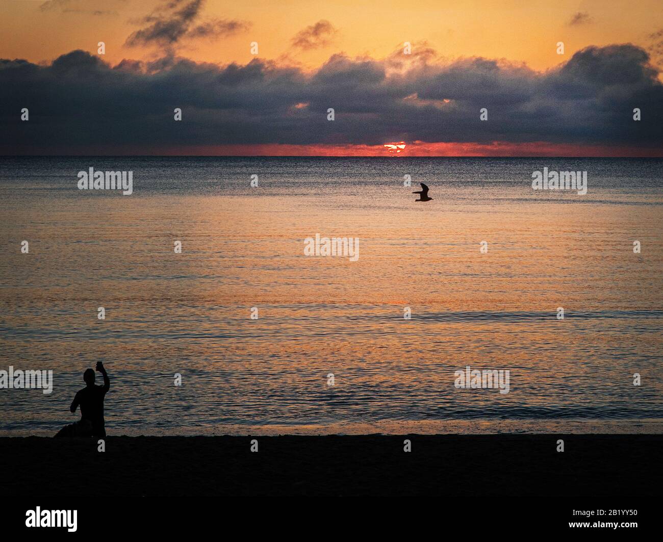 Warm and sunny tropical beach Stock Photo - Alamy
