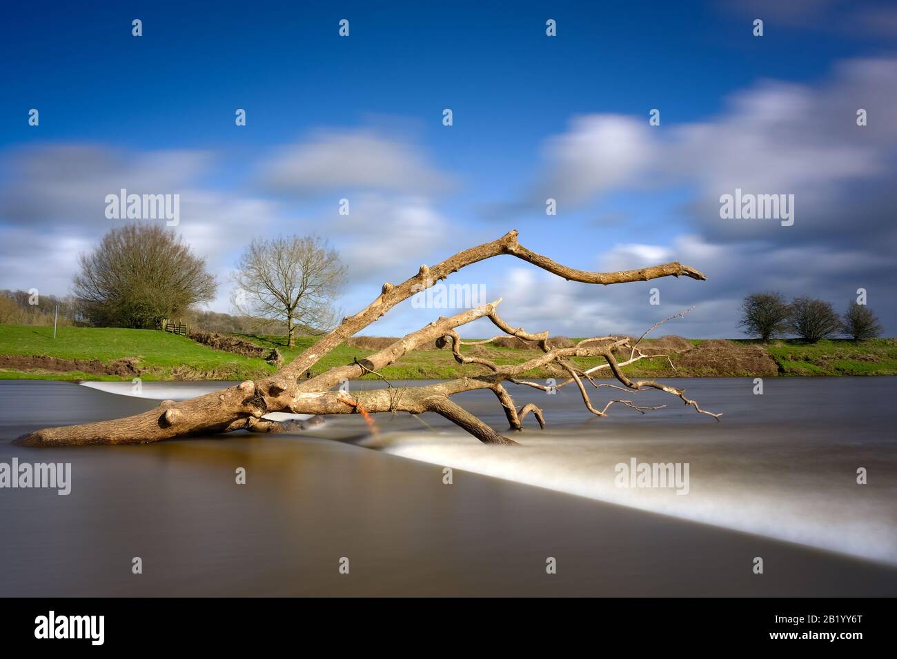 Floating tree hi-res stock photography and images - Alamy