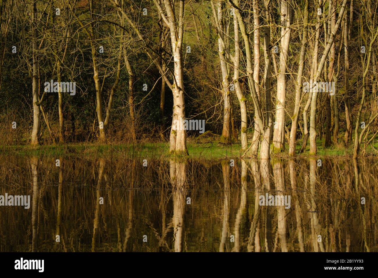 Waterlogged hi-res stock photography and images - Alamy