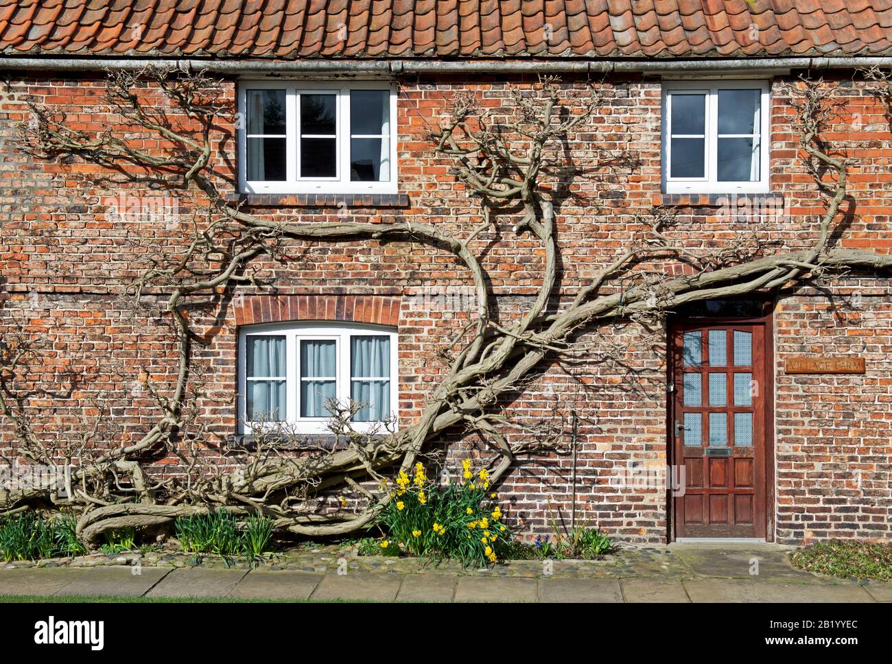 House in the village of Wheldrake, East Yorkshire, England UK Stock ...