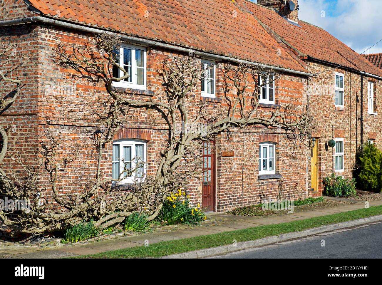 Houses in the village of Wheldrake, East Yorkshire, England UK Stock ...