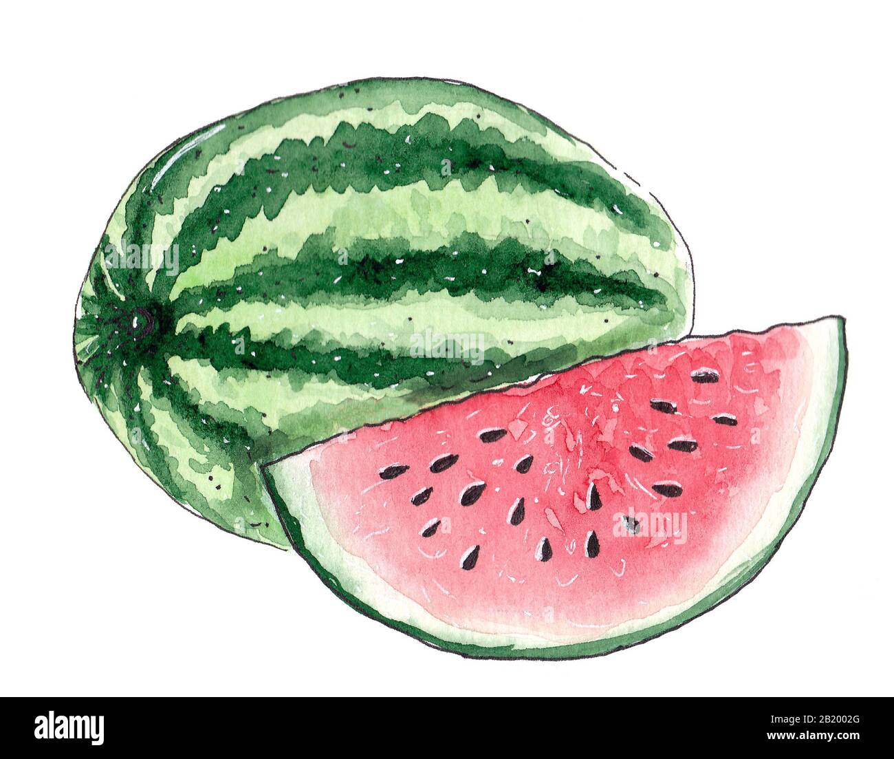 Watercolor red watermelons isolated on a white background illustration ...