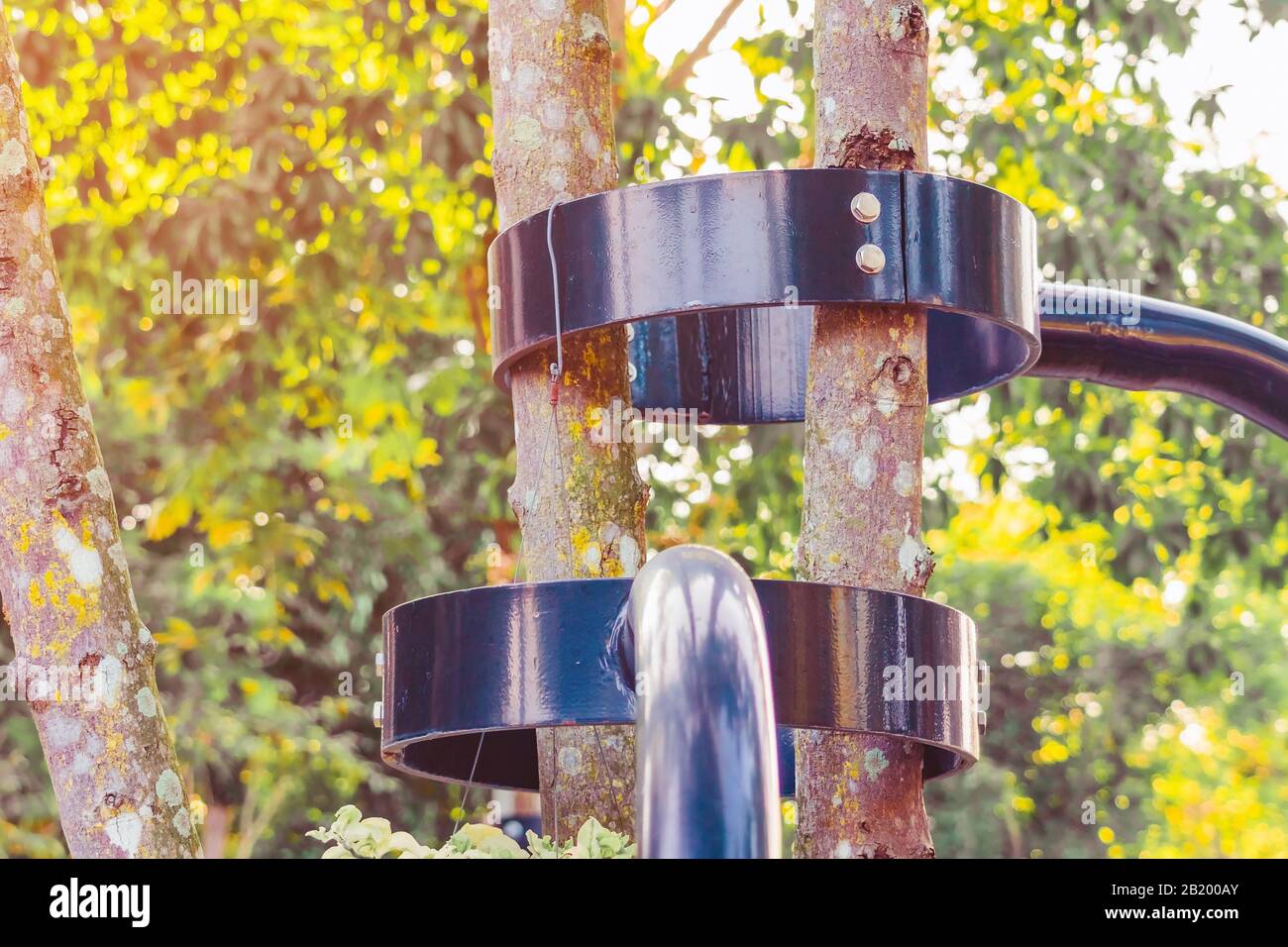 Black steel column supports and controls the branches and trunks of the ...