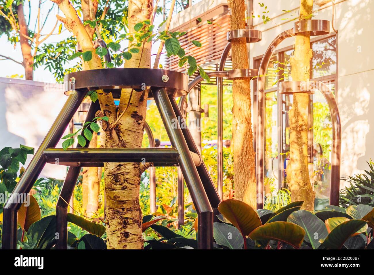 Black steel column supports and controls the branches and trunks of the ...