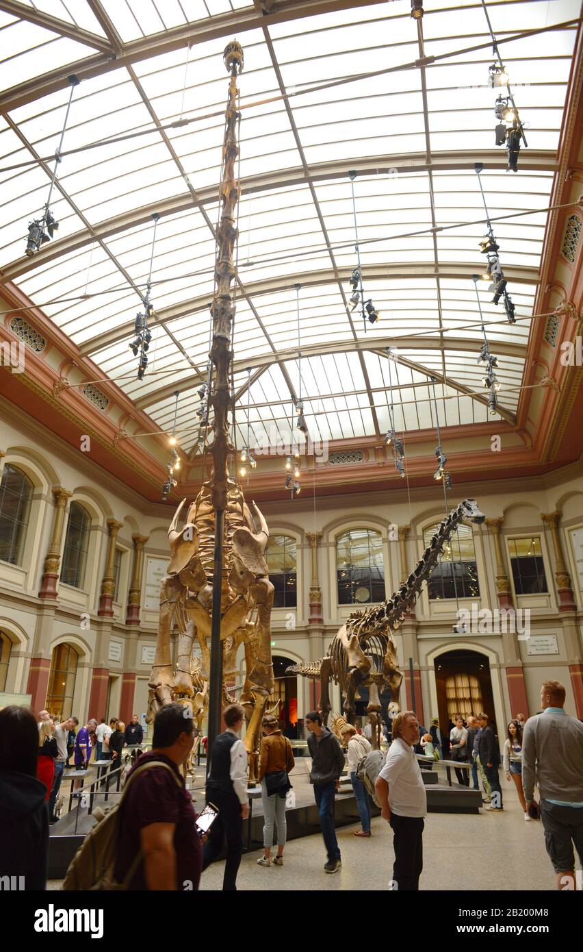 Berlin, Germany 07-07-2019 visitors inside the natural history museum ...
