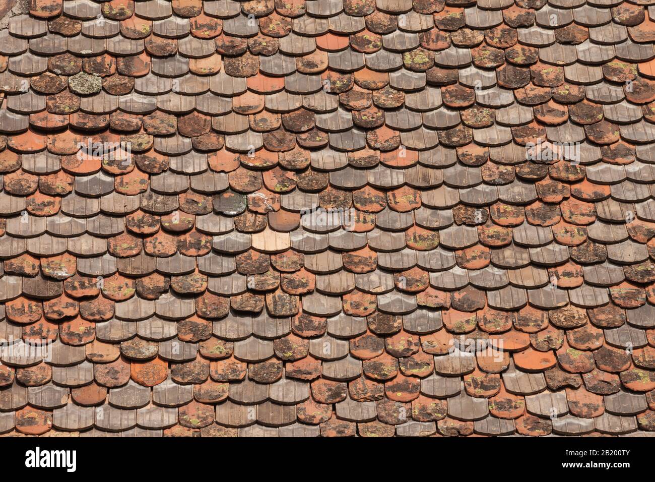 Detail from the terracotta roof of Castel Trostburg, one of the largest ...