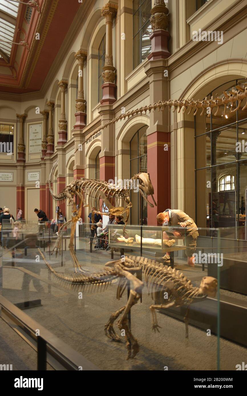 Berlin, Germany 07-07-2019 visitors inside the natural history museum ...