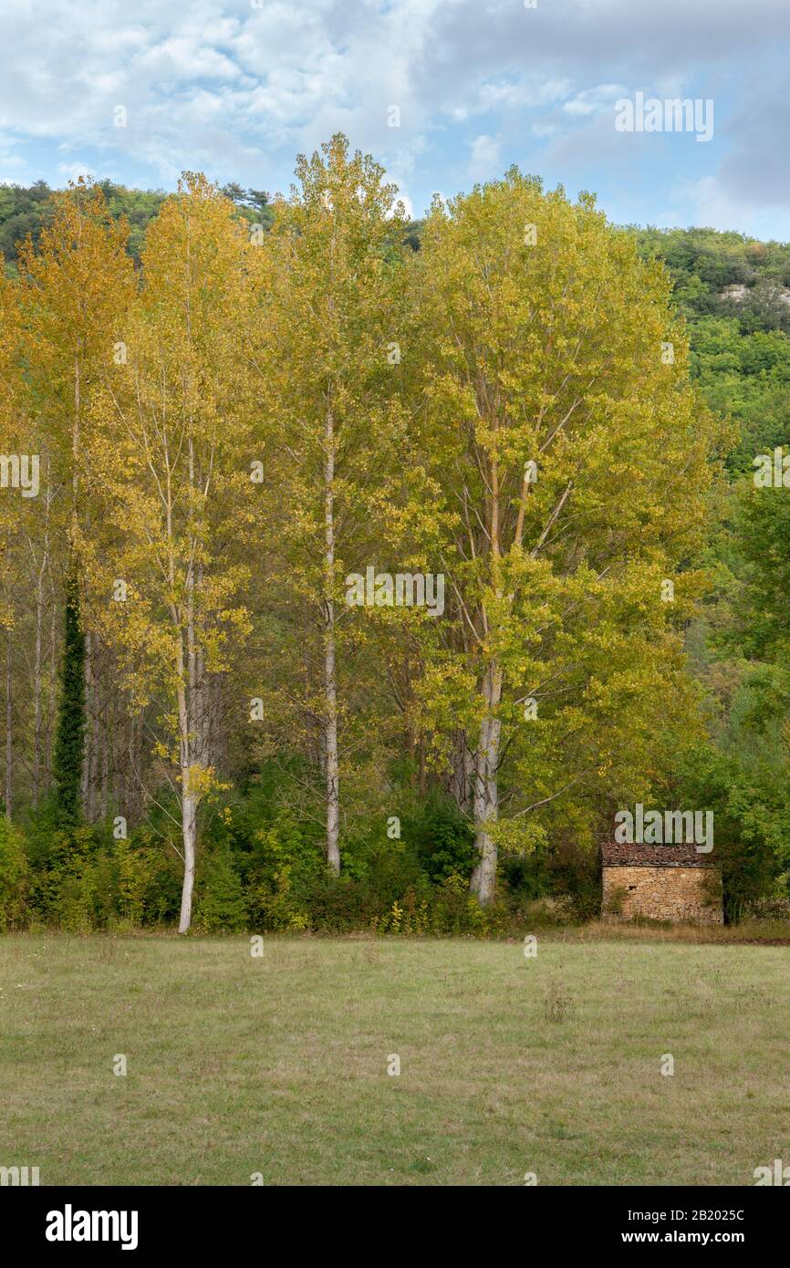 Stone hut in the forest hi-res stock photography and images - Alamy