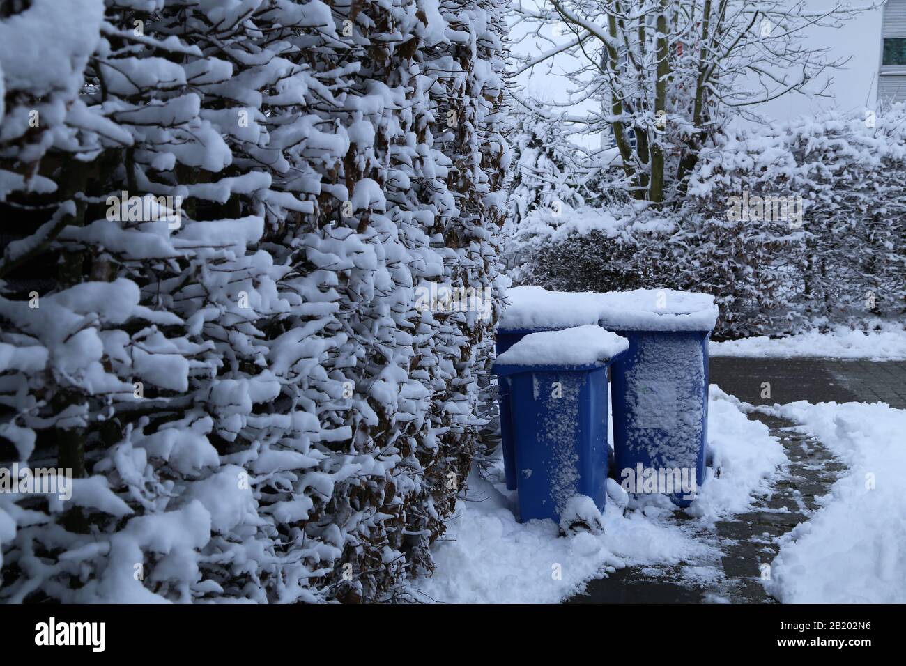Blue dumpsters stand on a snow-covered street Stock Photo - Alamy