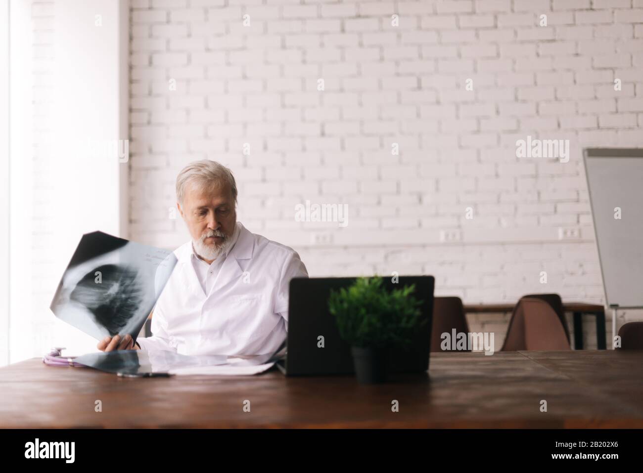 Experienced adult doctor with white beard siting at desk and examining ...