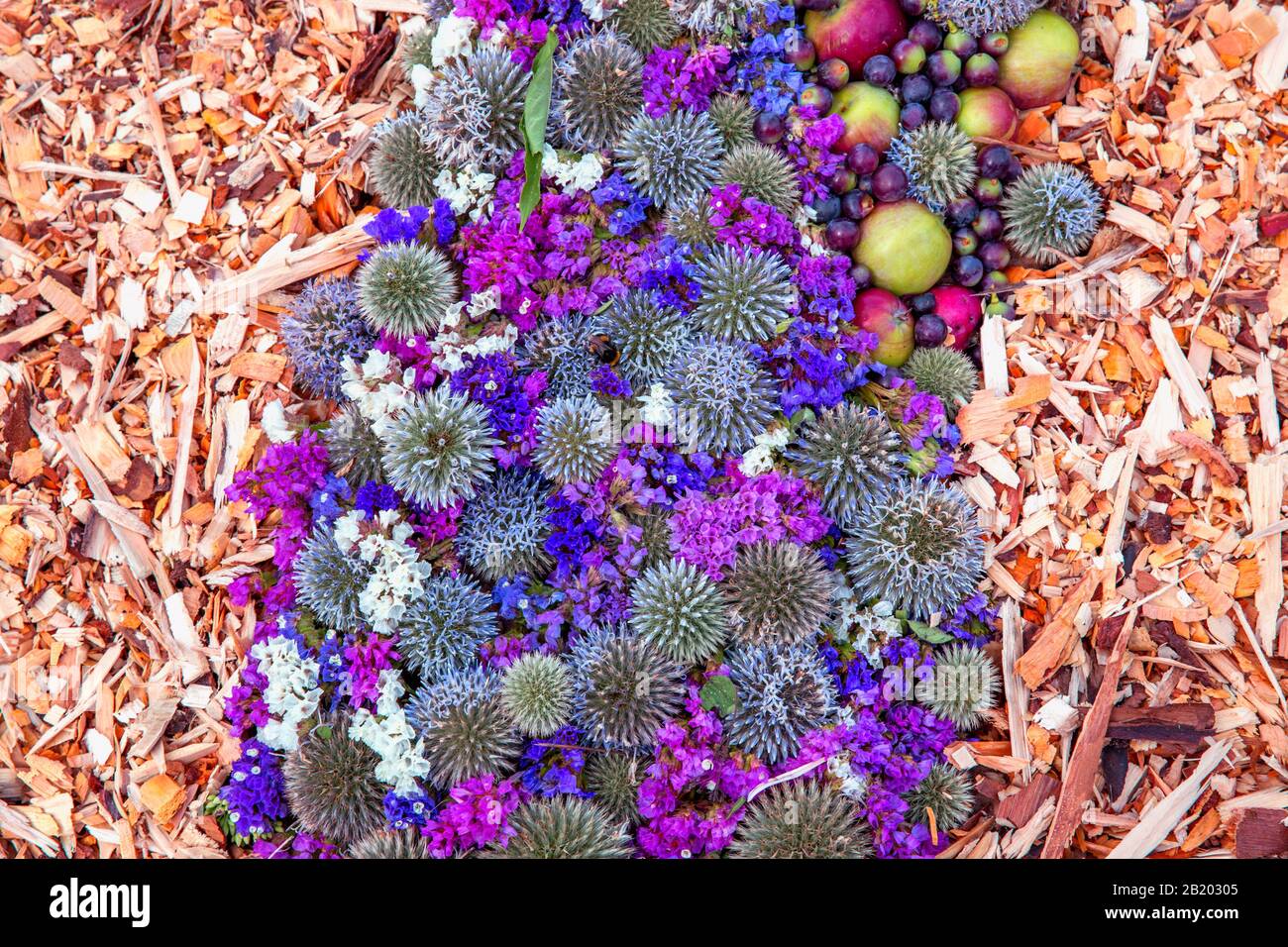 Floral visual hi-res stock photography and images - Alamy