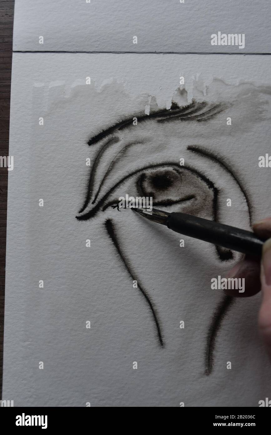 Sequence of drawing with dip pen in India ink onto wet watercolour ...