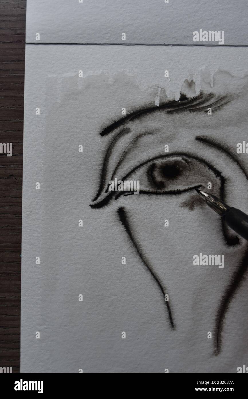 Sequence of drawing with dip pen in India ink onto wet watercolour ...