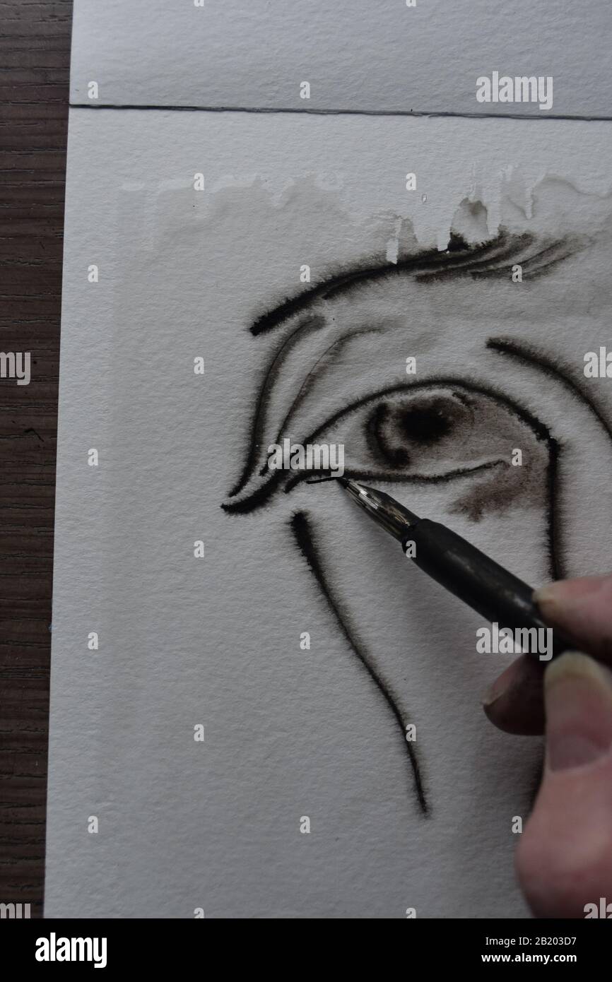 Sequence of drawing with dip pen in India ink onto wet watercolour ...