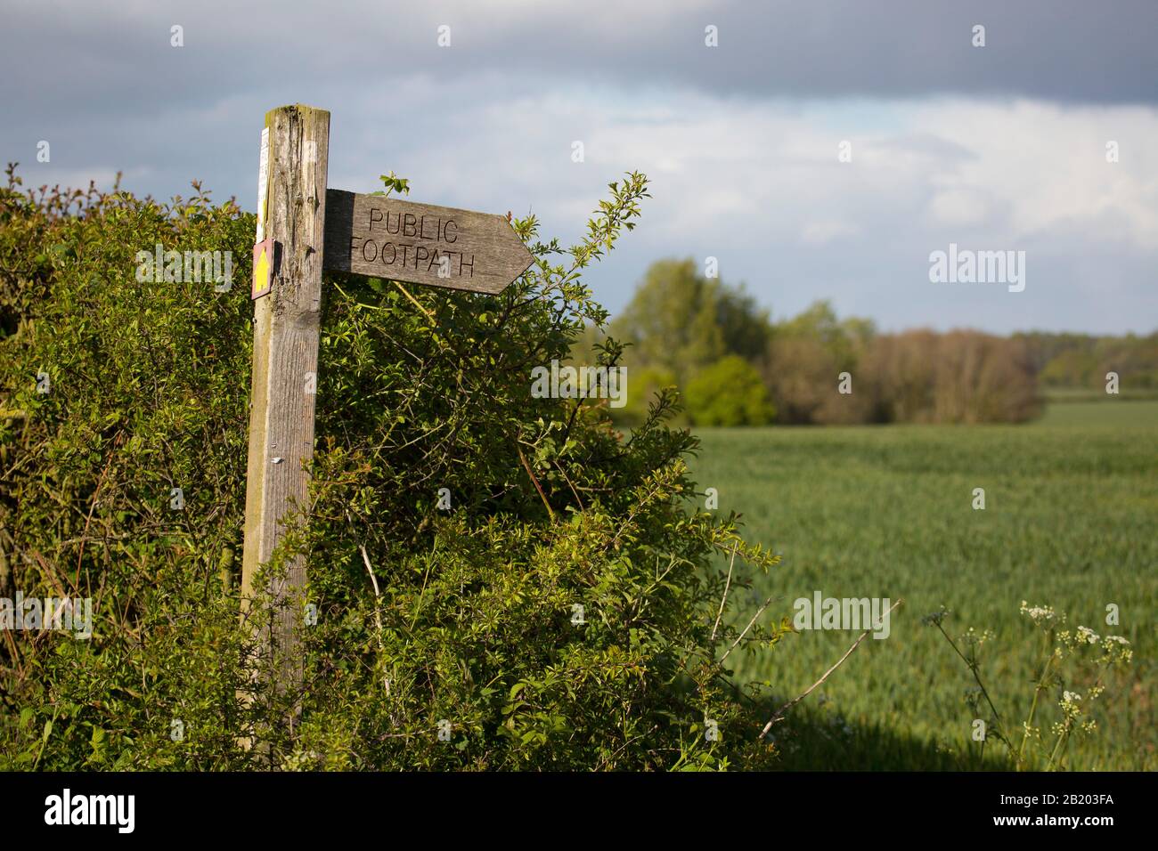 Overgrown signpost winter hi-res stock photography and images - Alamy