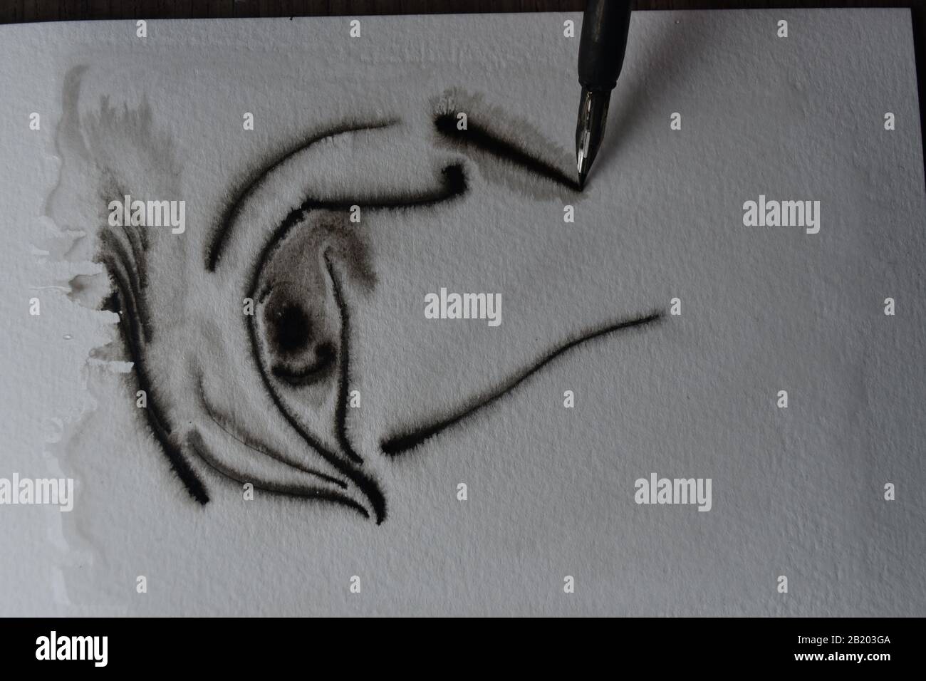 Sequence of drawing with dip pen in India ink onto wet watercolour ...