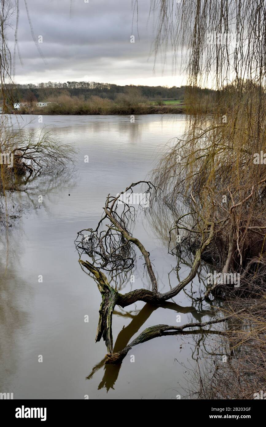 Trent long hi-res stock photography and images - Alamy