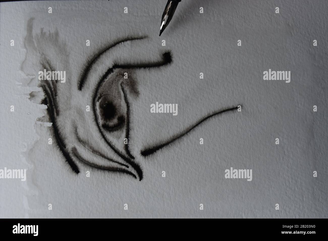 Sequence of drawing with dip pen in India ink onto wet watercolour ...