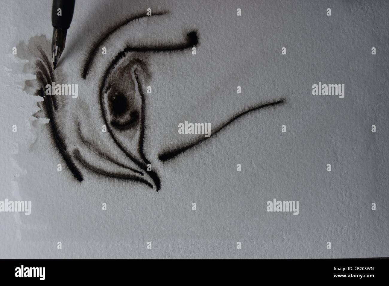 Sequence of drawing with dip pen in India ink onto wet watercolour ...