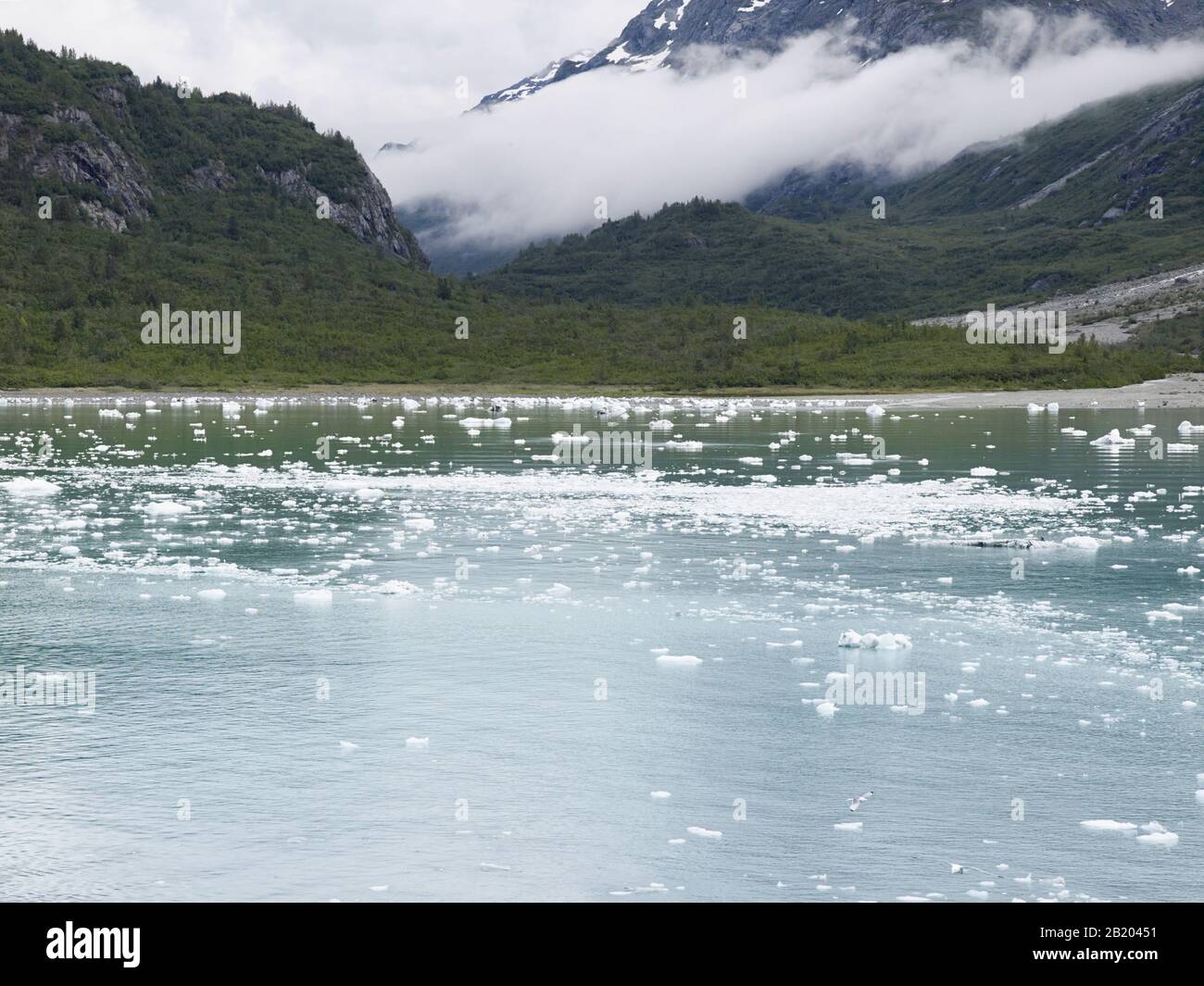 Scenic Landscape At Glacier Bay National Park, Alaska Stock Photo - Alamy