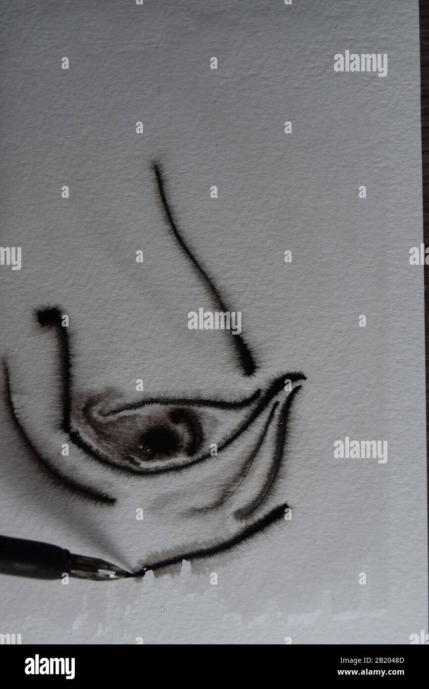 Sequence of drawing with dip pen in India ink onto wet watercolour ...