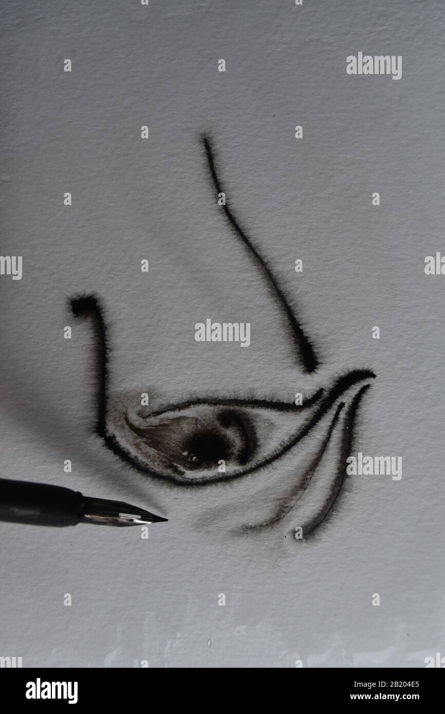 Sequence of drawing with dip pen in India ink onto wet watercolour ...