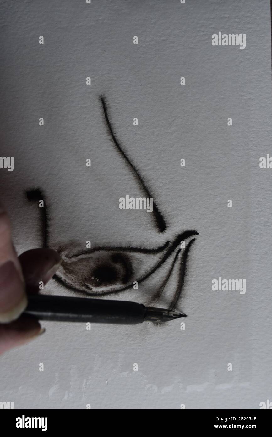 Sequence of drawing with dip pen in India ink onto wet watercolour ...