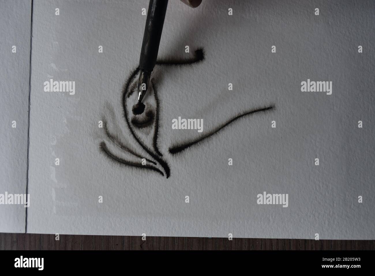 Sequence of drawing with dip pen in India ink onto wet watercolour ...