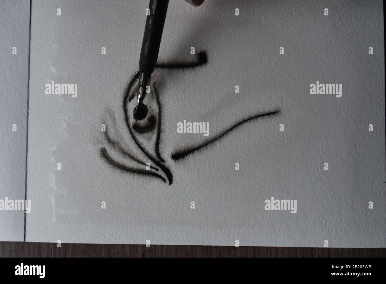 Sequence of drawing with dip pen in India ink onto wet watercolour ...