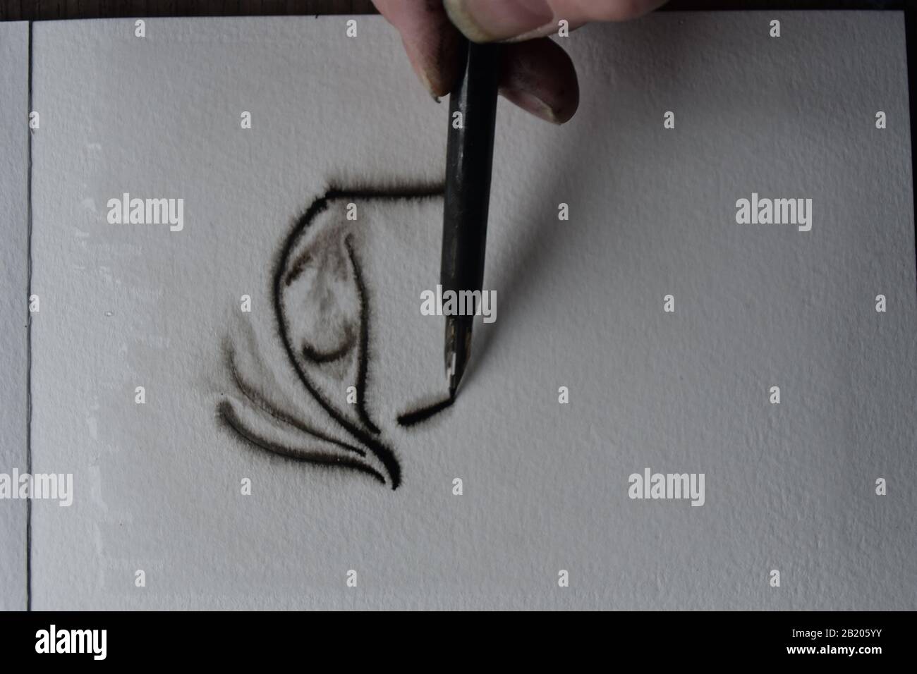 Sequence of drawing with dip pen in India ink onto wet watercolour ...