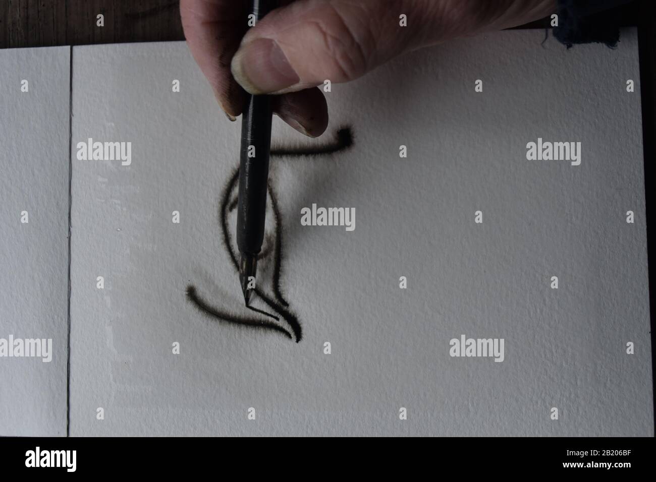 sequence of drawings, Dip pen with india ink on to wet watercolour ...