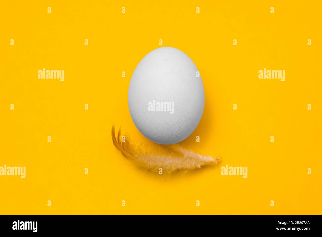 easter advert. one white egg and feather in center of yellow background ...
